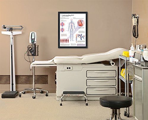 Understanding DVT Deep Vein Thrombosis Framed Poster 22x28 Inches – WTSpeak