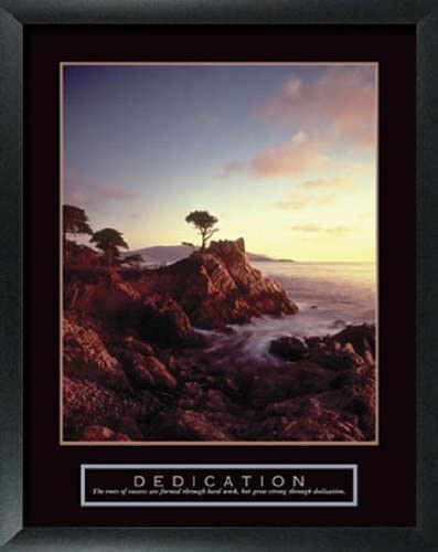 3 Framed Office Motivational Posters Determination Dedication Tree Val ...